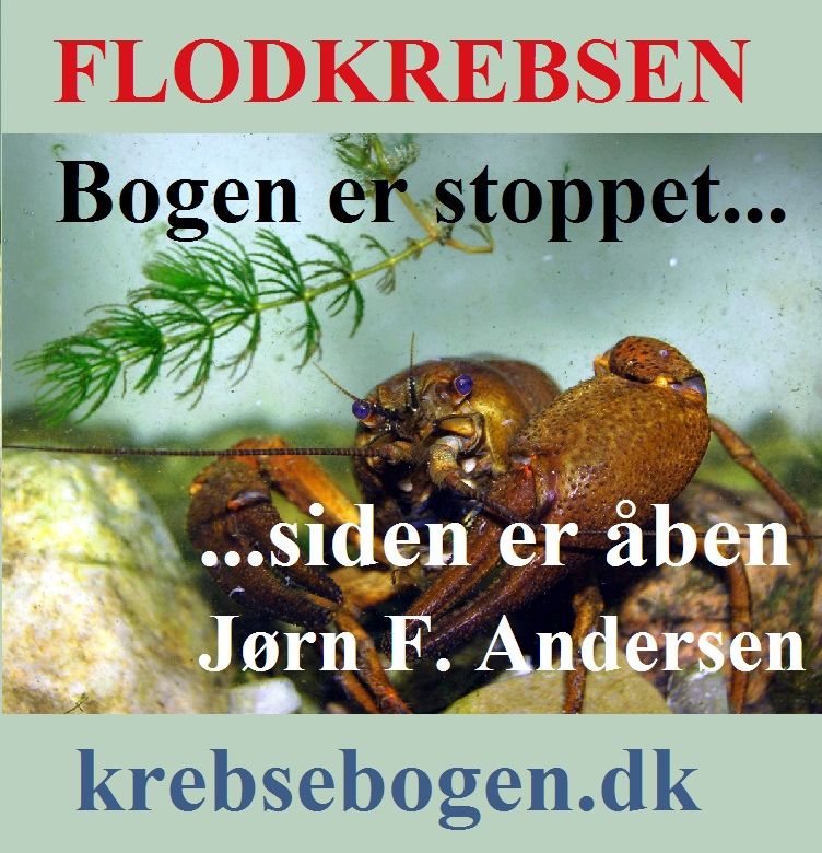 Danmarks krebseavlerforening - køb og salg af flodkrebs